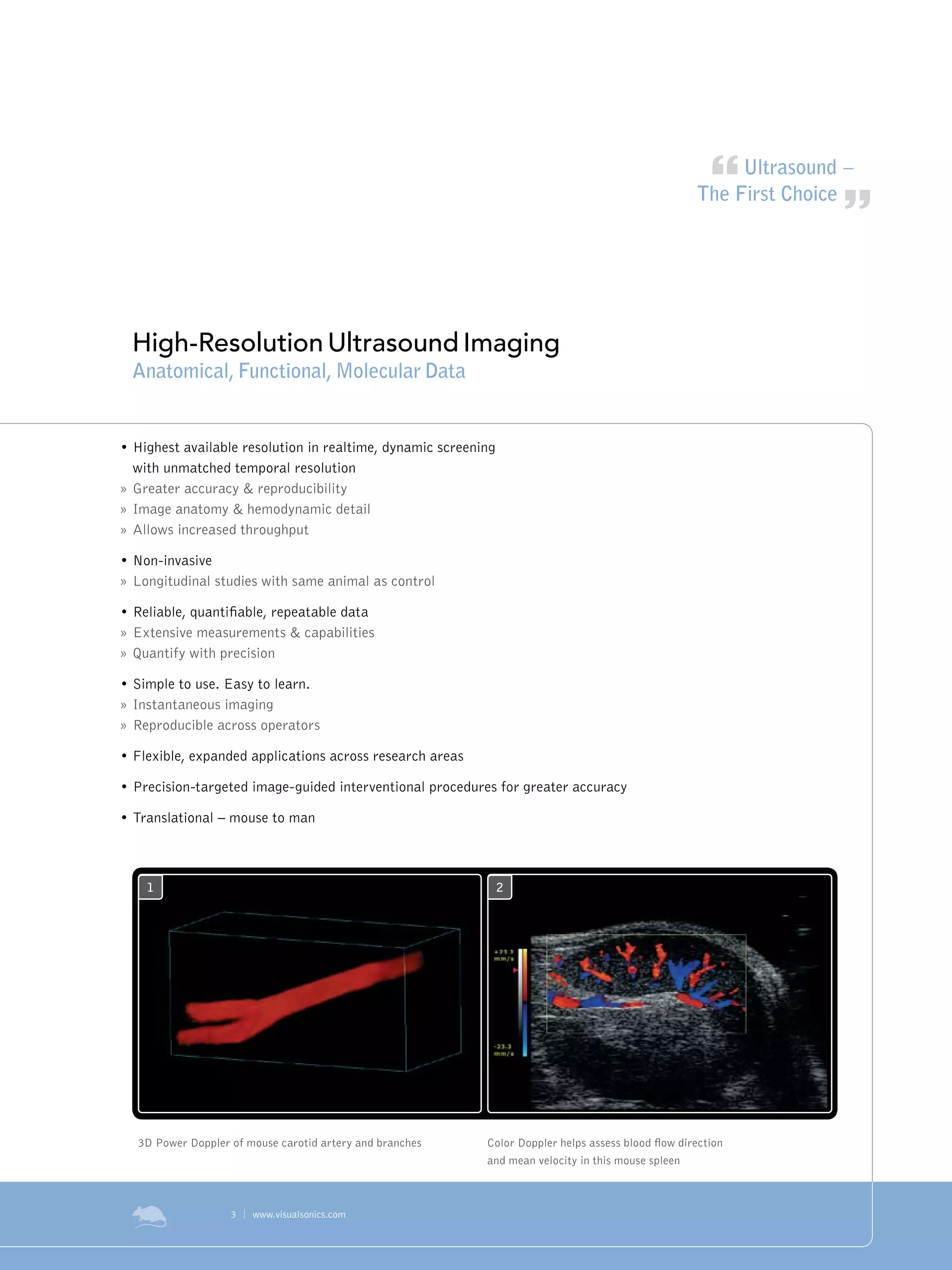 Vevo 2100 Brochure | PDF