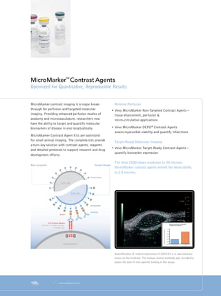 Vevo 2100 Brochure | PDF