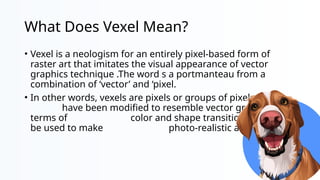 VEXEL ART, a fusion of vector and raster graphics | PPT