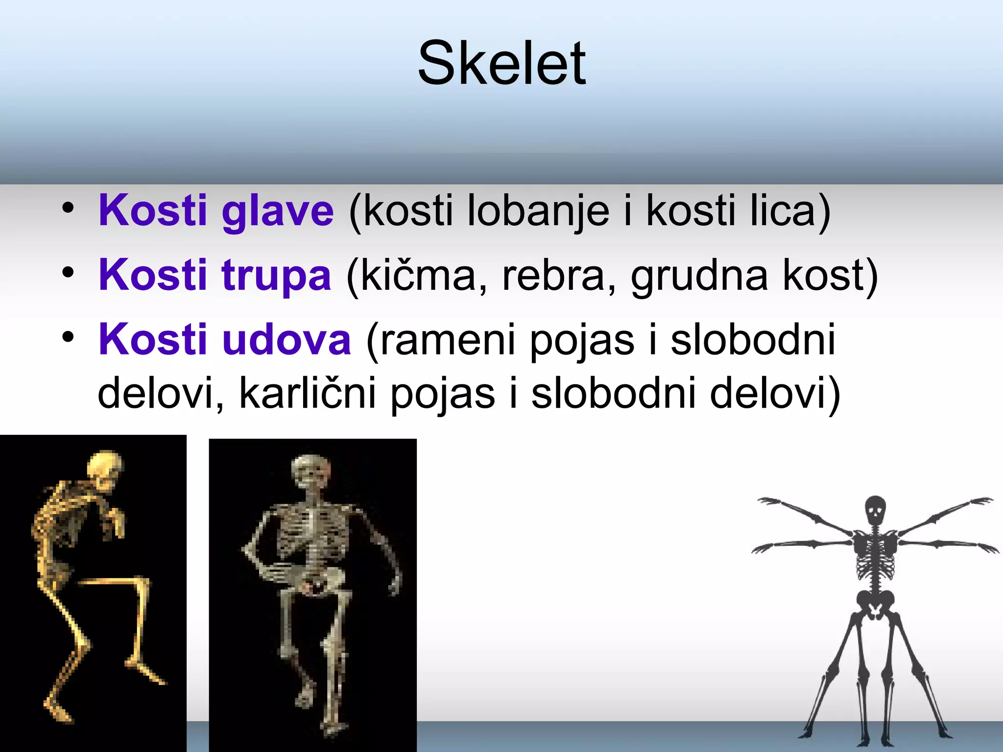 Skeletni sistem; veze izmedju kostiju | PPT