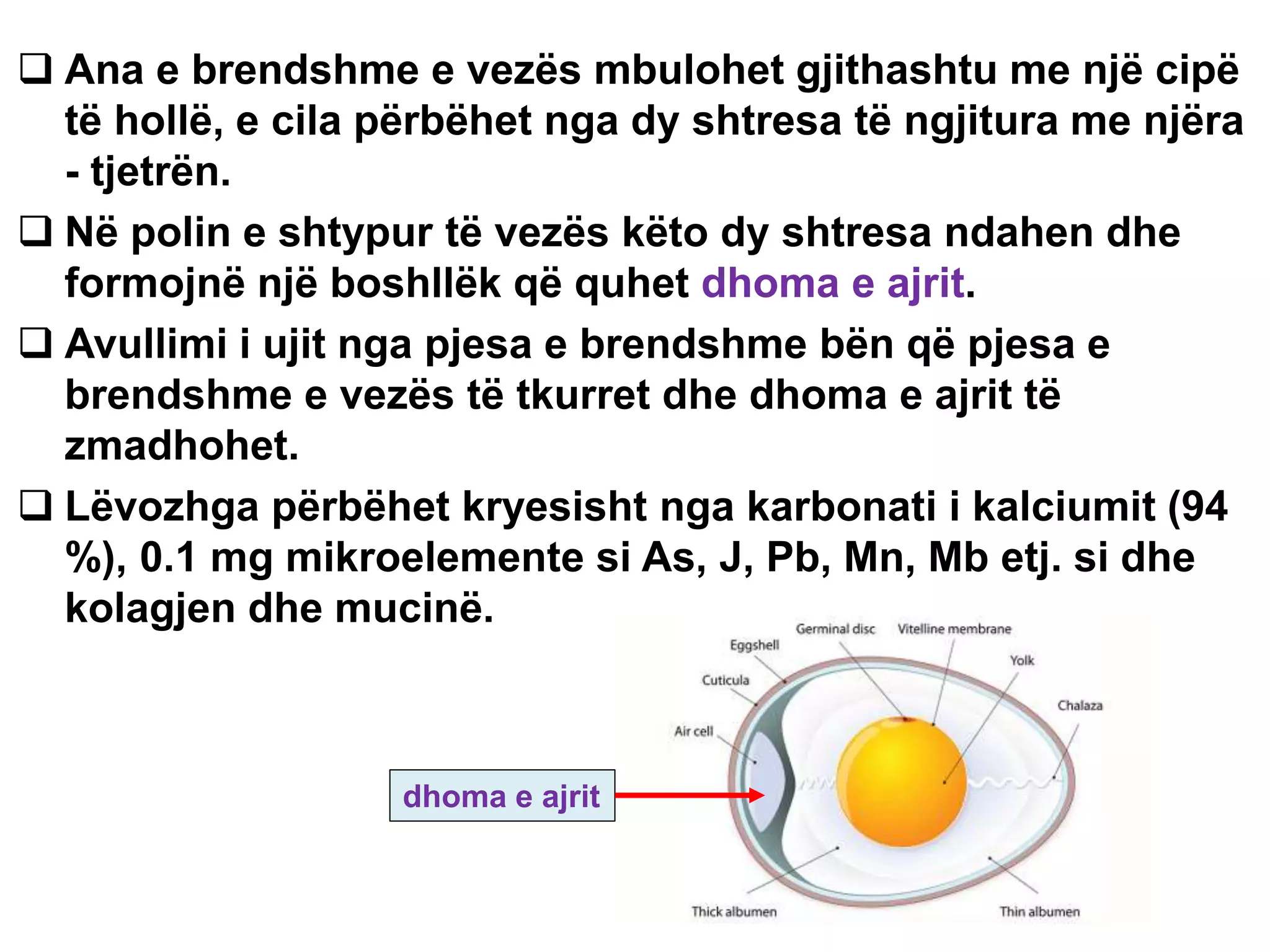 Vezet shpresa devaja | PPT