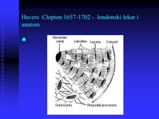 Koštano tkivo i okoštavanje | PPTX