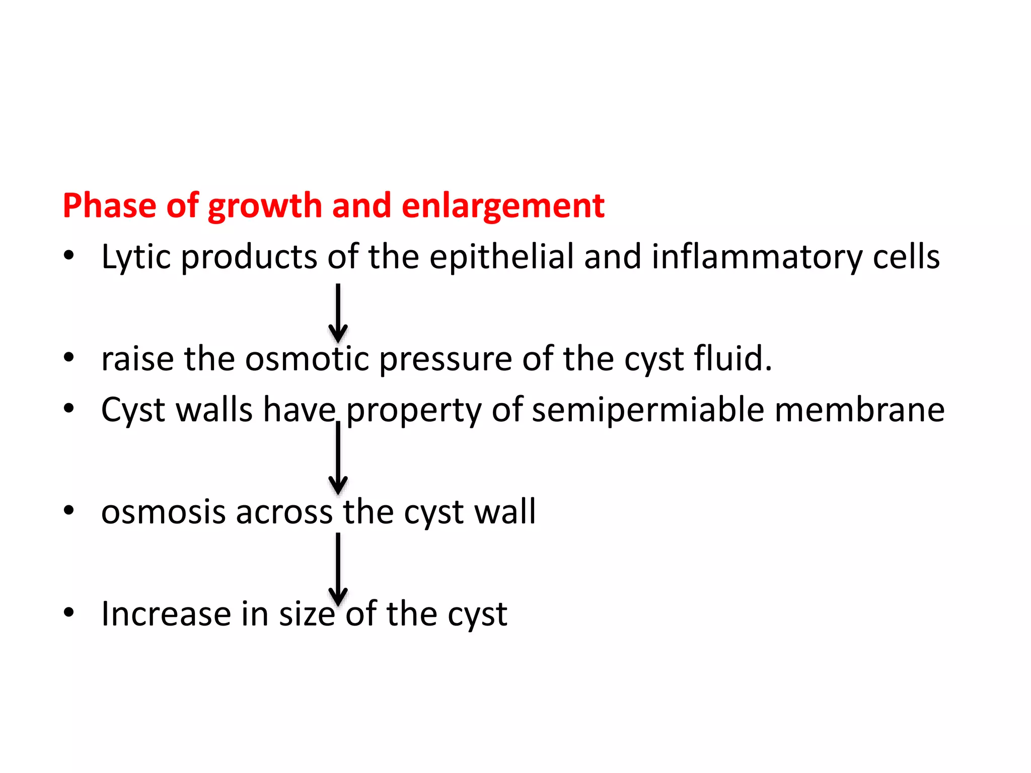 Cysts of jaws pathogenesis | PPTX