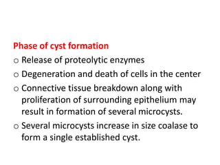 Cysts of jaws pathogenesis | PPTX
