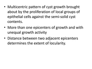 Cysts of jaws pathogenesis | PPTX