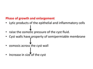 Pathogenesis Of Dentigerous Cyst
