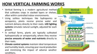 PRESENTATION ON VERTICAL FARMING SOA UNIVERSITY | PPTX