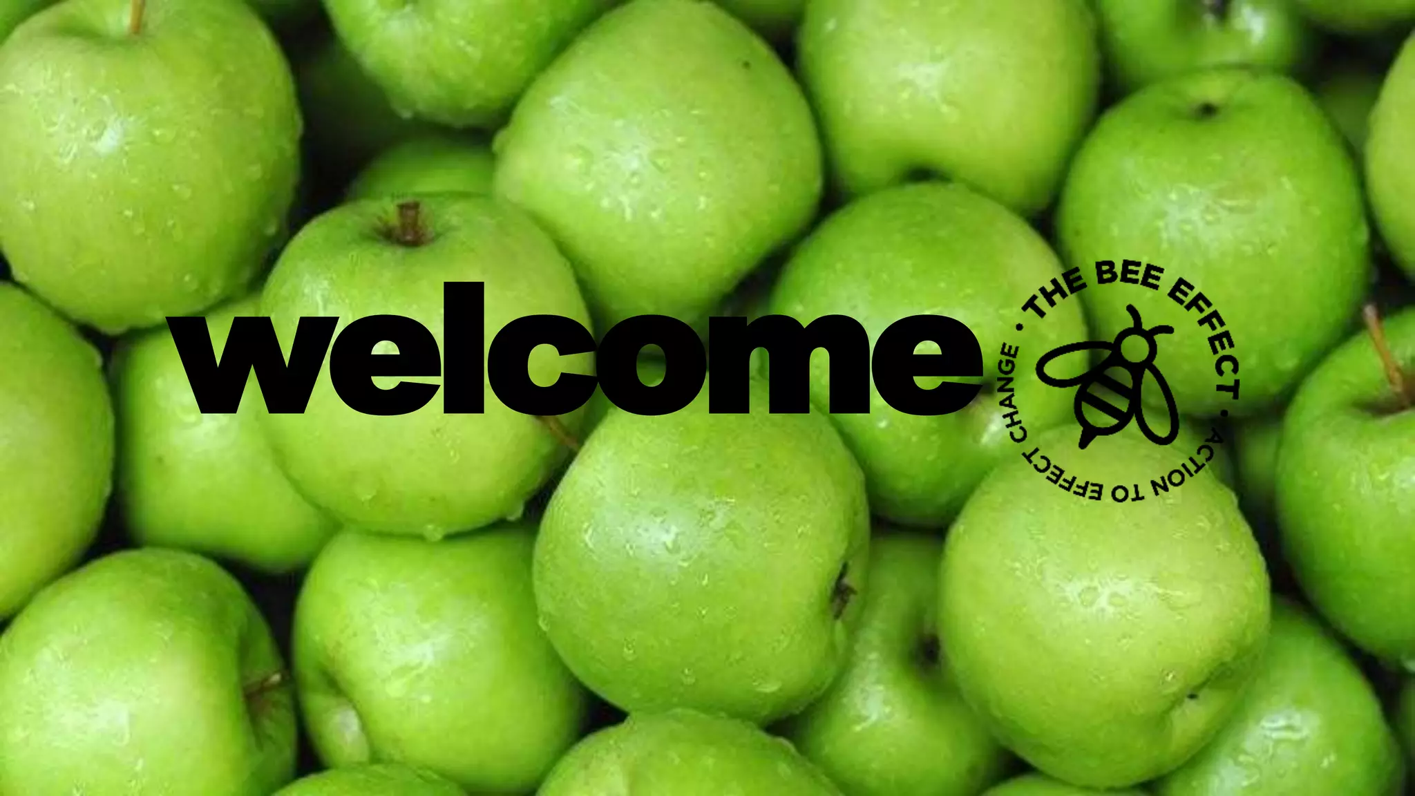 The bee effect: Action to effect change | PPTX | Beekeeping | Hobbies ...