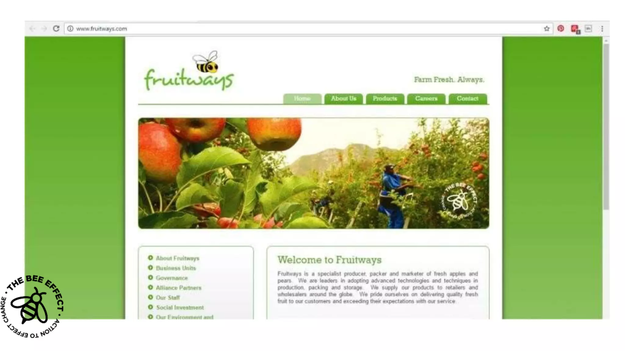 The bee effect: Action to effect change | PPTX | Beekeeping | Hobbies ...