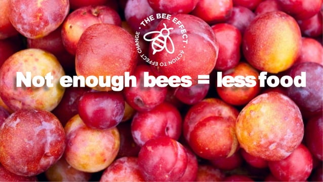 The bee effect: Action to effect change | PPT