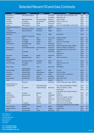 VFF Flowmeters for chemical injection | PDF