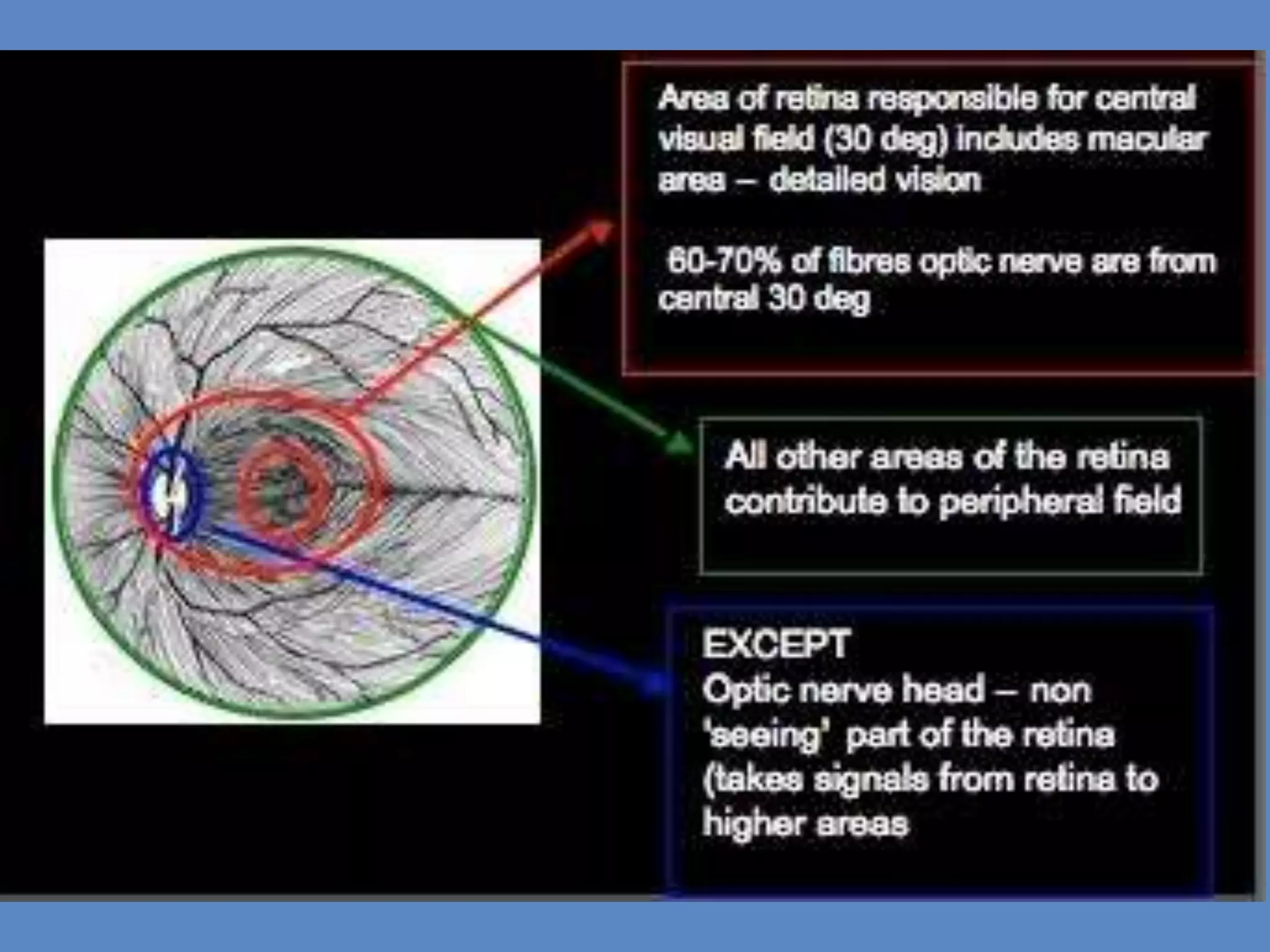 VF in glaucoma.pptx