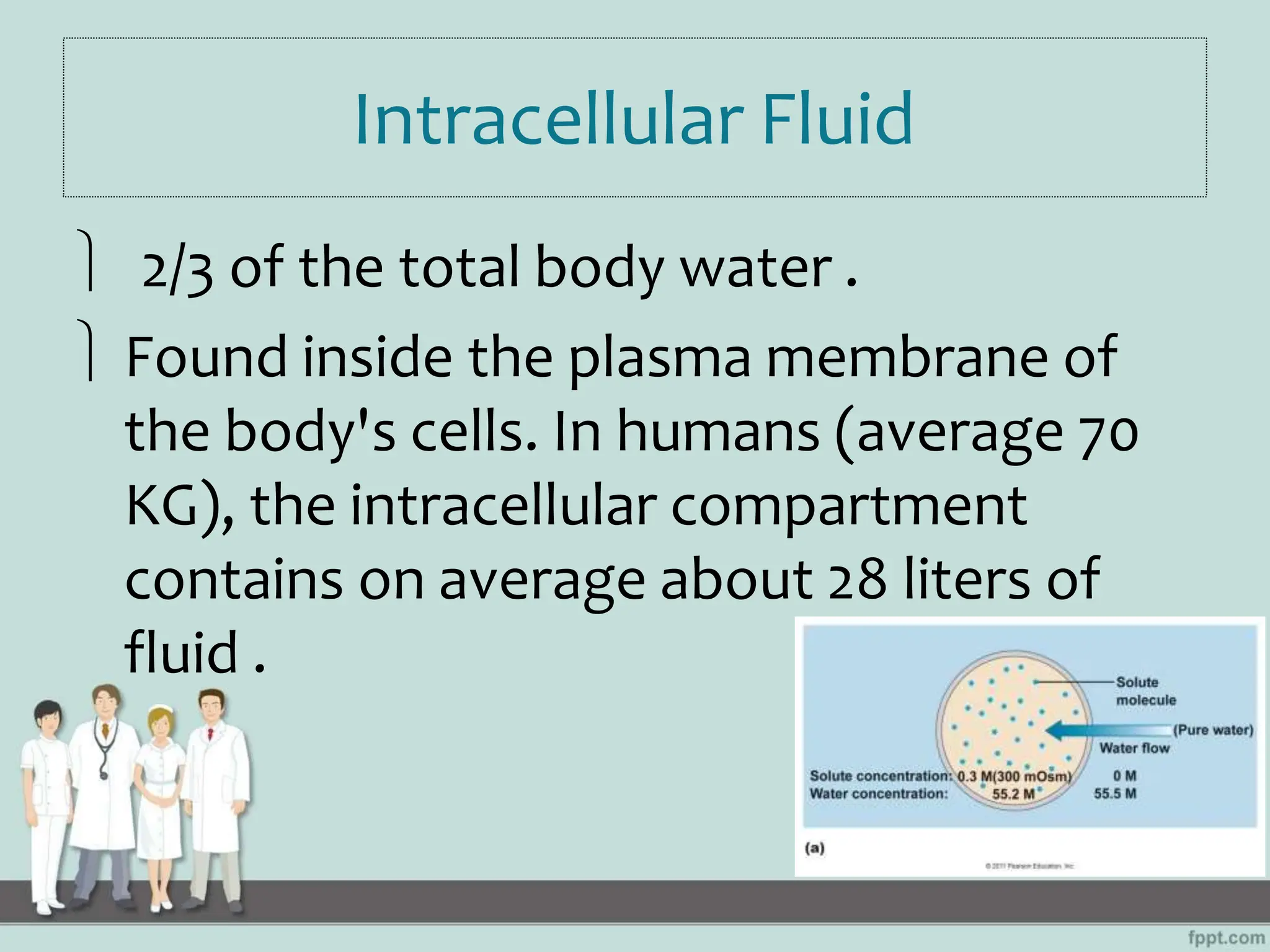 اv fluid therapy types indications doses calculation-.pptx