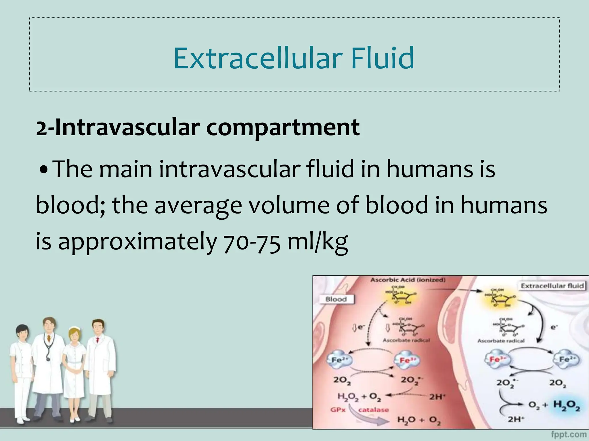 اv fluid therapy types indications doses calculation-.pptx