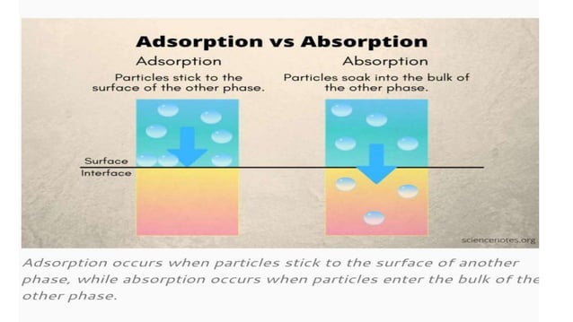 Adsorption | PPT