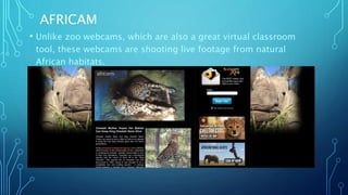 Virtual Field Trip | PPT