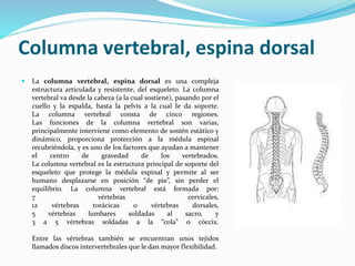 COLUMNA | PPSX