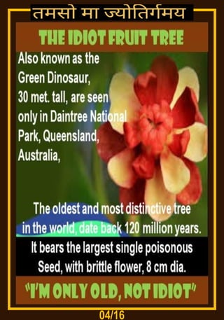 Vganstudio pdf facts 017 2021 | PDF