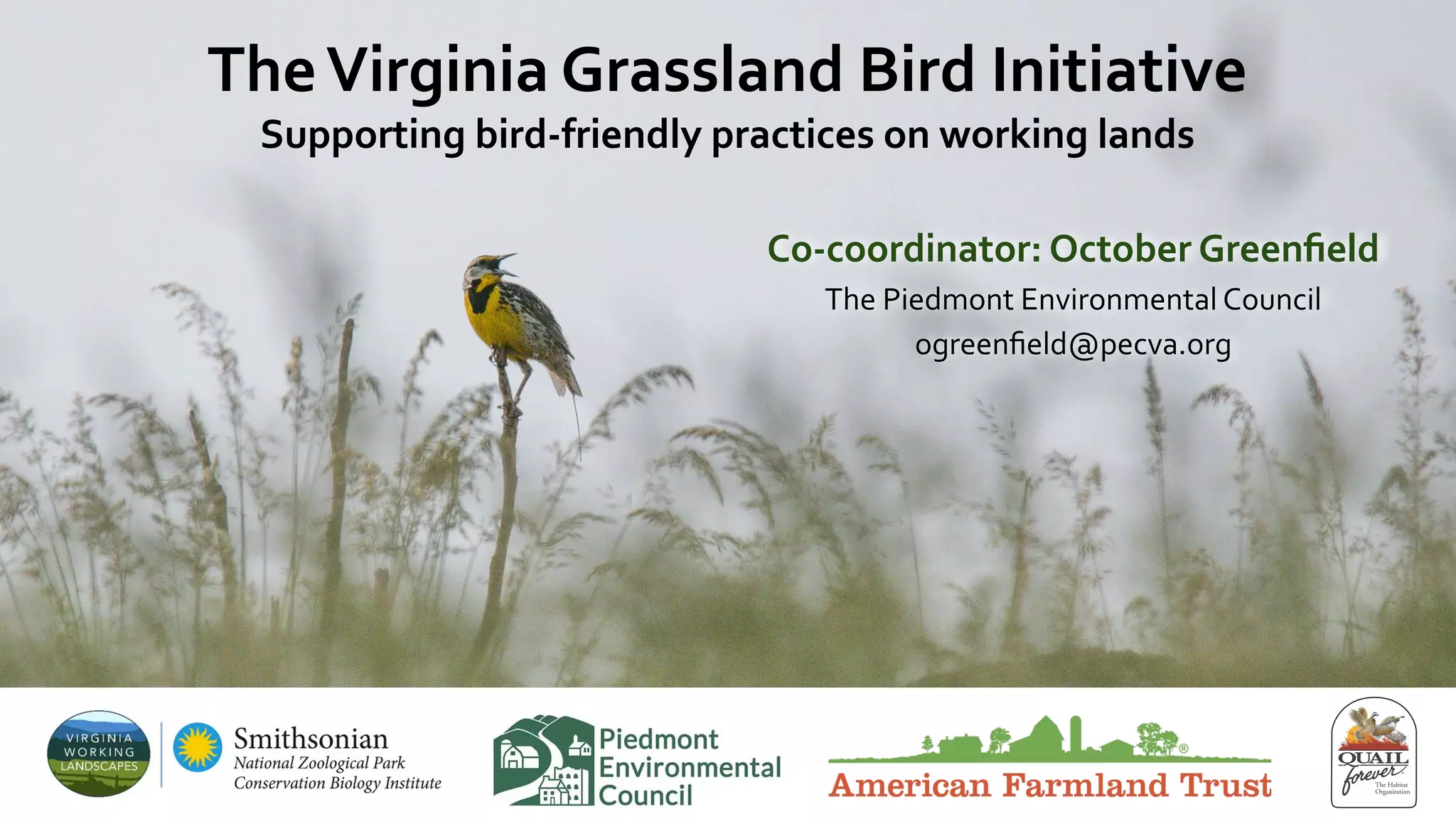 Virginia Grassland Bird Initiative | PDF