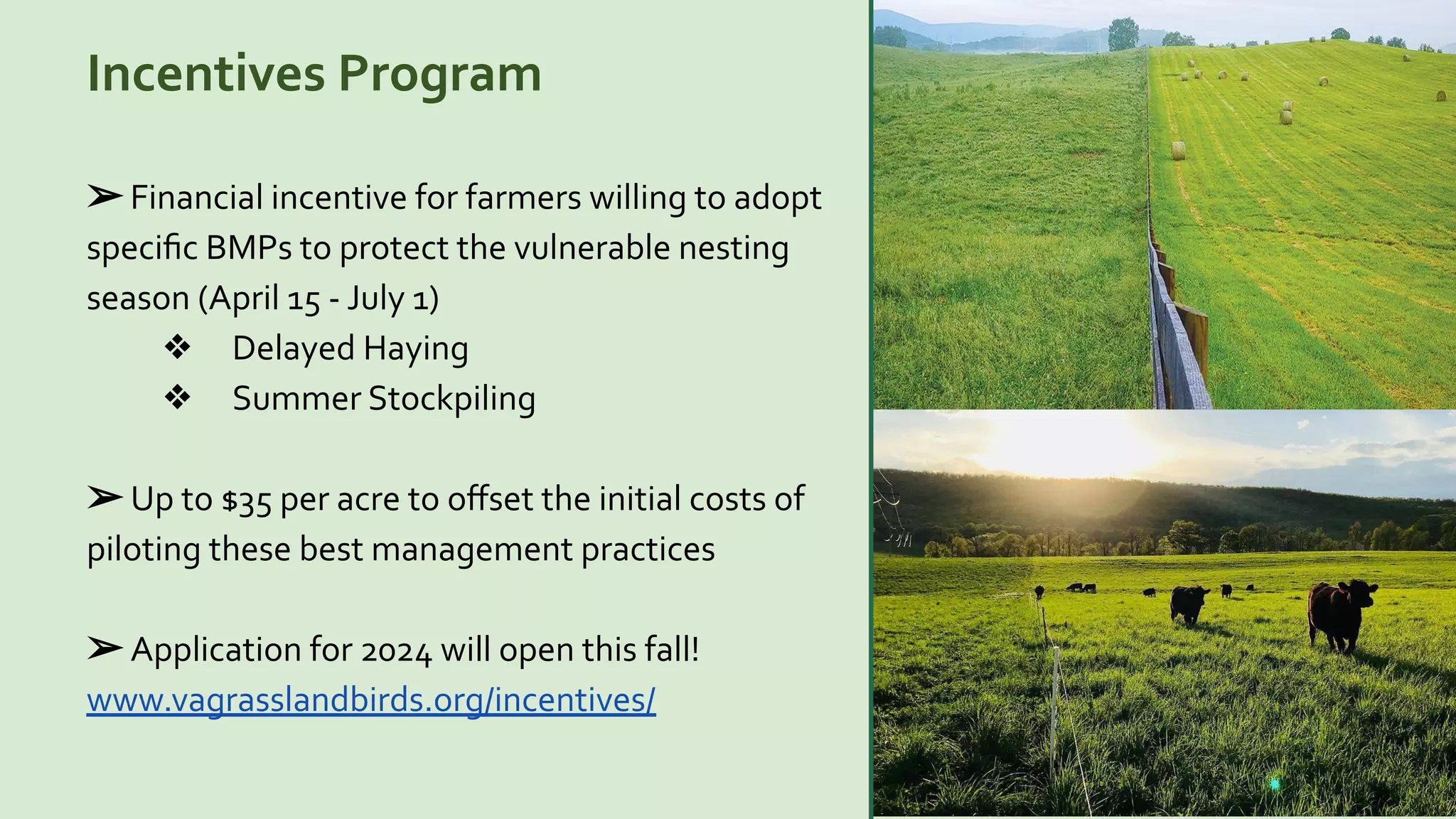 Virginia Grassland Bird Initiative | PDF