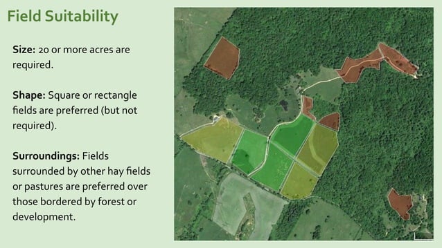 Virginia Grassland Bird Initiative Ppt