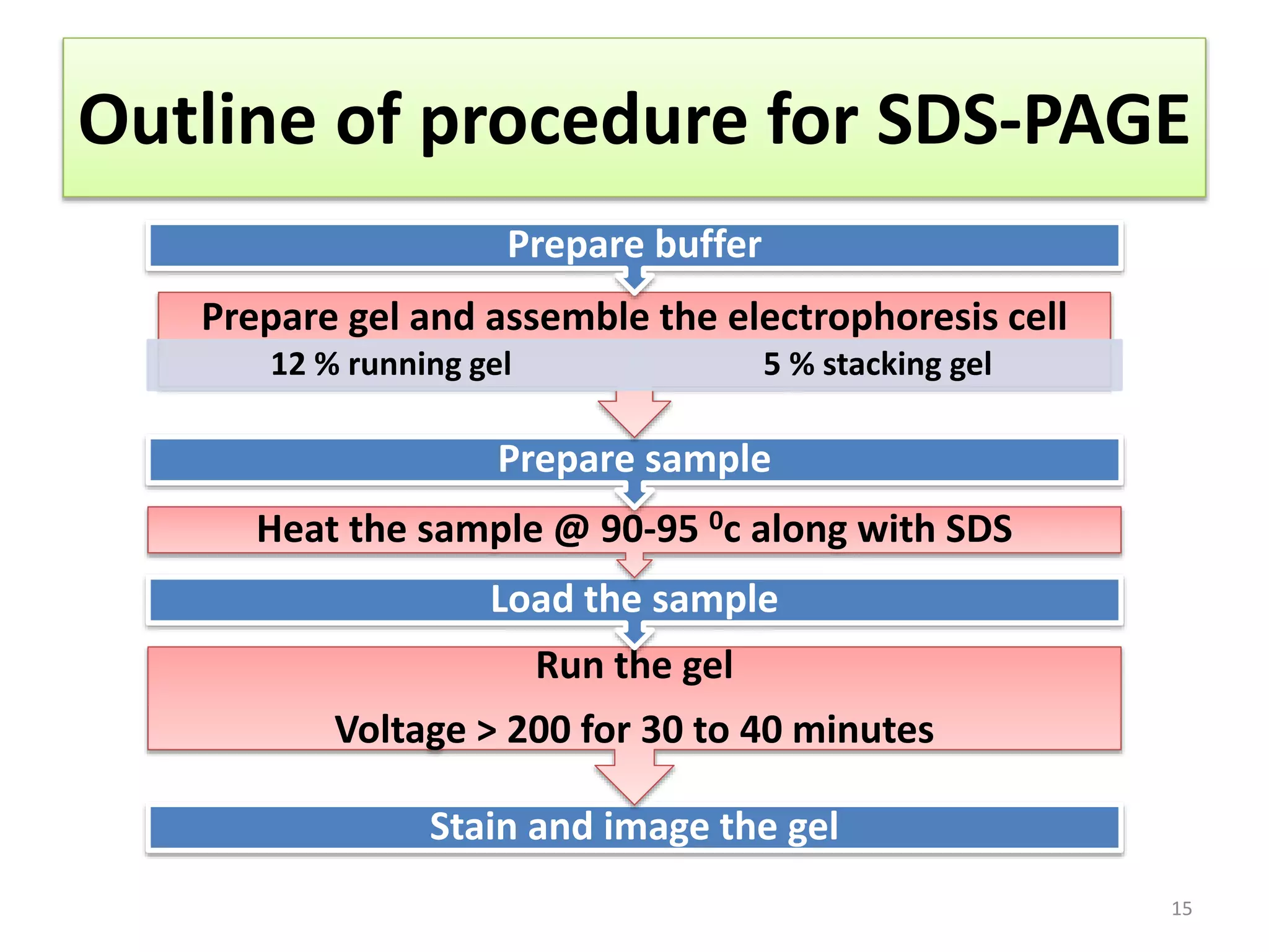 Vertical Gel Electrophoresis (SDS-PAGE) | PPTX