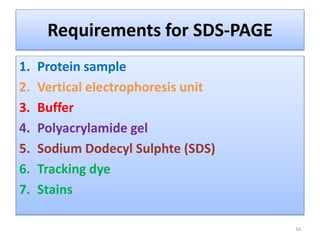 Vertical Gel Electrophoresis (SDS-PAGE) | PPTX