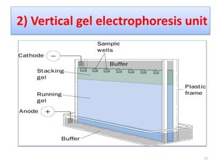 Vertical Gel Electrophoresis (SDS-PAGE) | PPTX