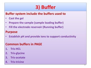 Vertical Gel Electrophoresis (SDS-PAGE) | PPTX