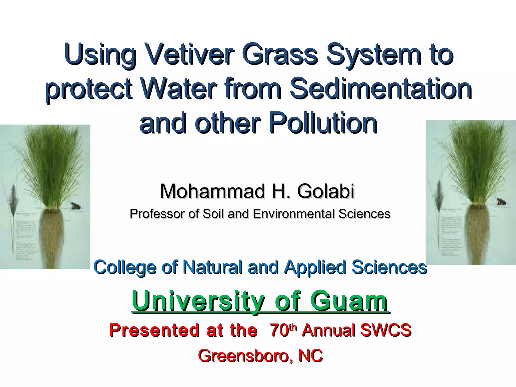 Using the Vetiver Grass Technology to Protect Shorelines - Golabi | PPT