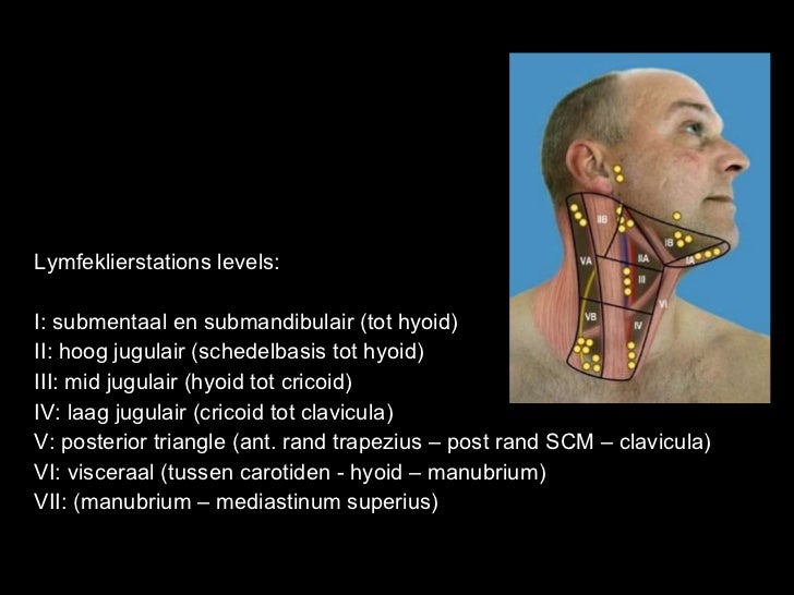 Vg tnov2009 hoofdhals