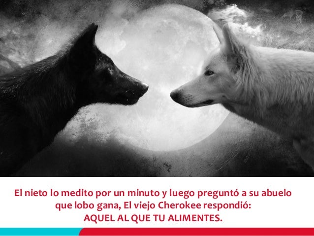 Imágenes de lobos con reflexión - Imagui