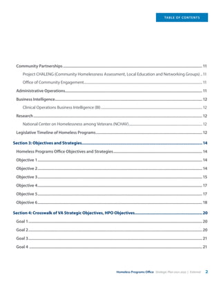 VA Homeless Program Strategic Plan for 2021-2025 | PDF