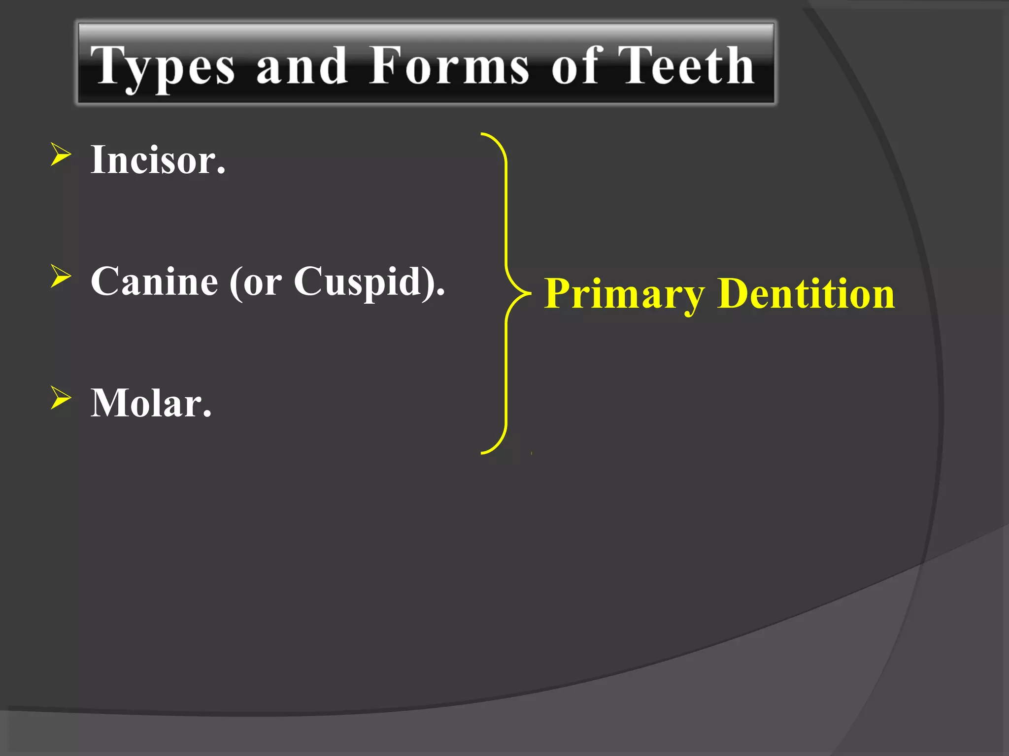 Introduction to Dentistry 1 | PPT