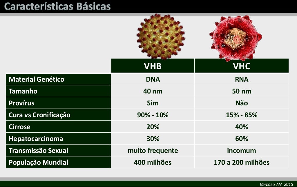 Hepatite B E Hepatite C Decifrando Os Marcadores Sorológicos