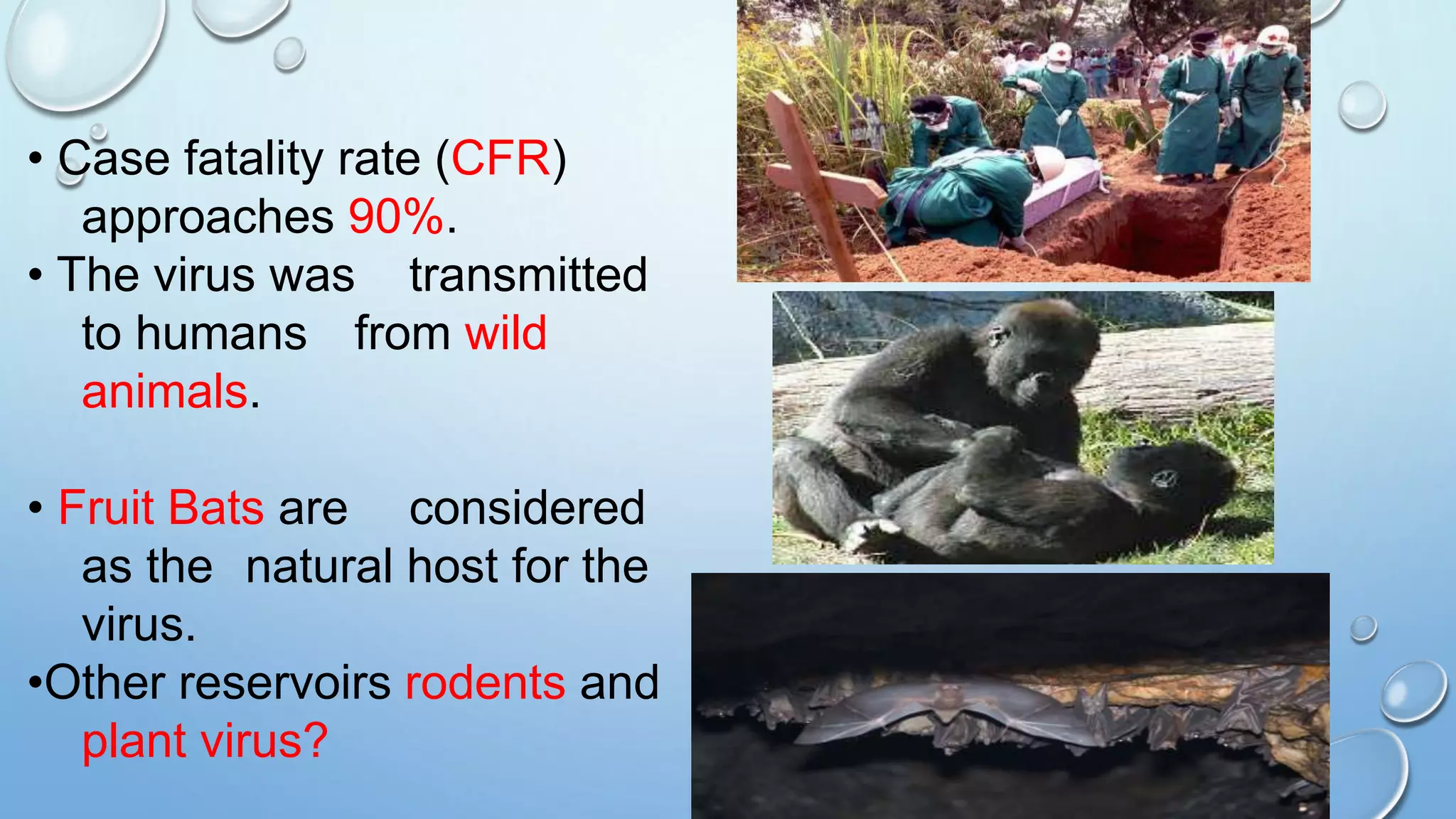 Viral Hemorrhagic Fevers | PPTX
