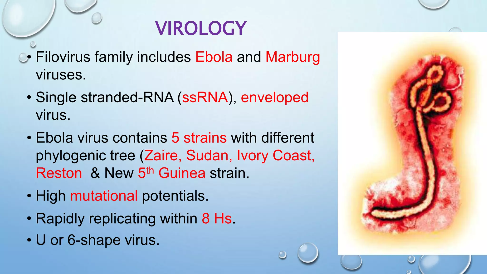 Viral Hemorrhagic Fevers | PPTX