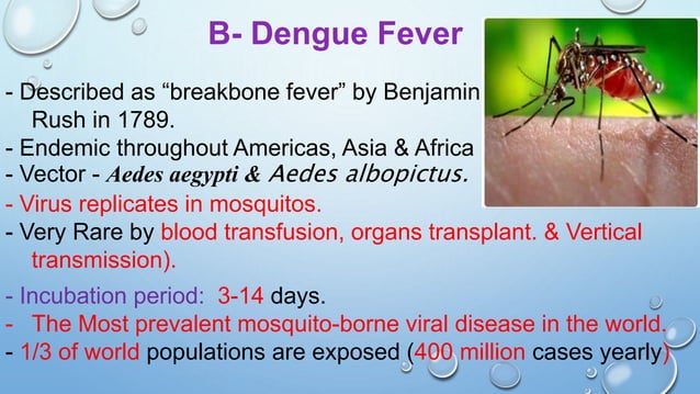 Viral Hemorrhagic Fevers | PPTX