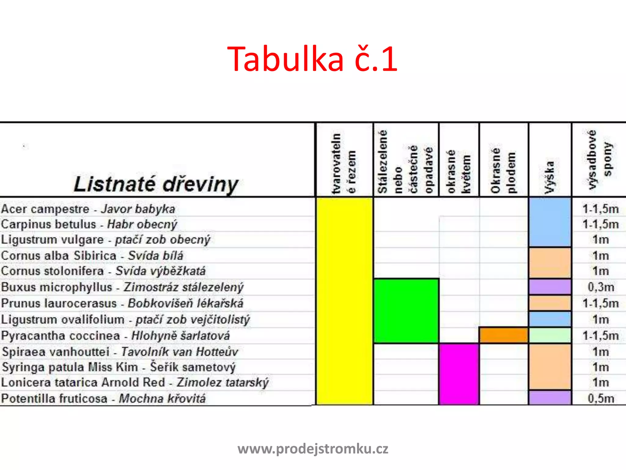 Vhodné druhy rostlin a kultivarů pro živé ploty | PPTX