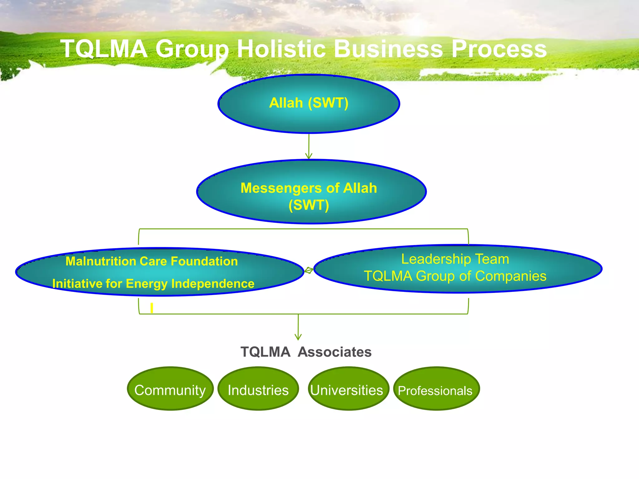 Tqlma msb-e-university-emba-in-entrepreneurship | PPT | Free Download