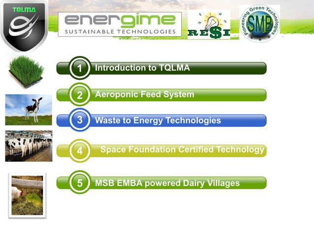 Tqlma msb-e-university-emba-in-entrepreneurship | PPT | Free Download