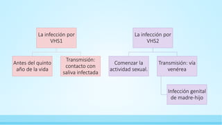Virus del Herpes Simple tipo 1 y 2 | PPTX