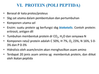 VI. Protein & Peptida.ppt