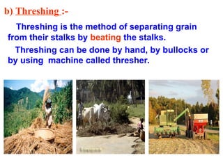 VI-5-Separation of substances.ppttttttttt | PPT