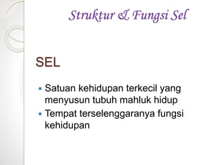 Vi sel dan hormon | PPTX