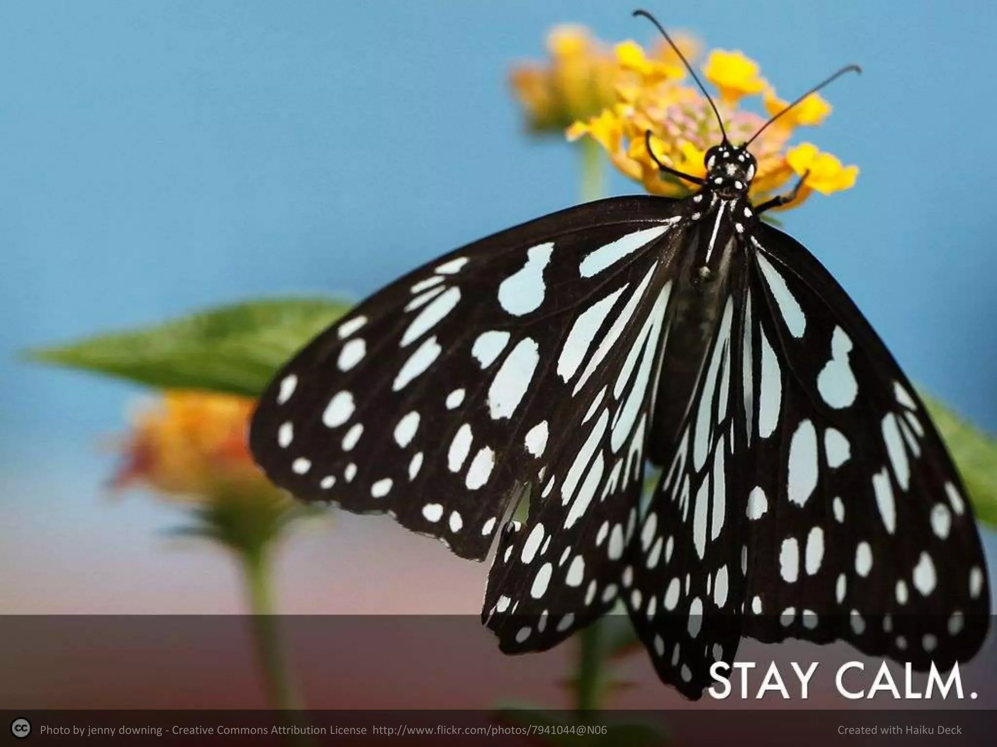 Accepting No | PPTX | Technology & Computing