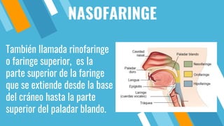 Via-Aerea,anatomiafisiologiaydispositivos.pptx