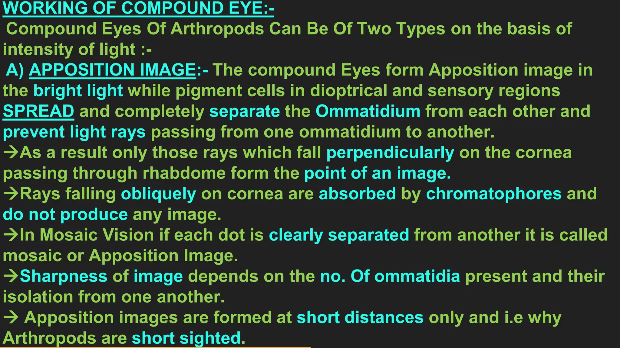 Vision In Arthropods Using Hexagonal Shaped Ommatidium Presentation | PPTX