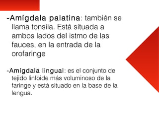Via aerea | PPT