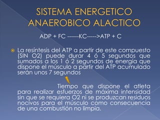 Via anaerobica alactica | PPTX